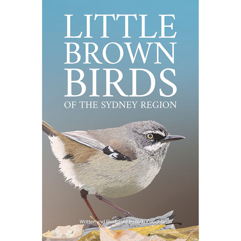 Little Brown Birds of the Sydney Region